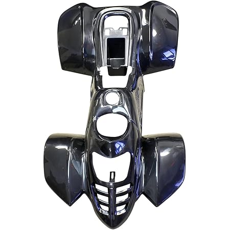 Amazon.com: ATV Quad Body Plastic front rear fender fit Taotao only ...