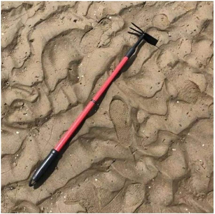 SDHSD Rake And Rake The Beach To Dig Clams, Small Crabs, Razor Clams Lo ...