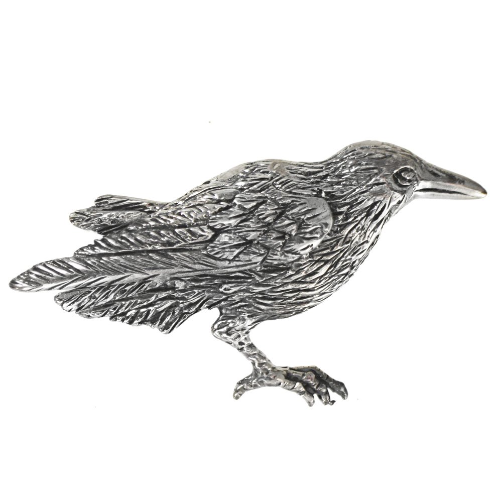 Pin Raven Original Para Escritorio Raven Kostuumvleugels Voor