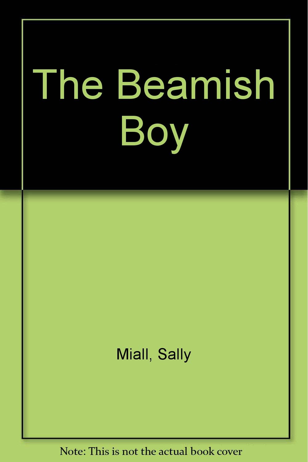 The Beamish Boy: Miall, Sally: 9780955375125: Amazon.com: Books