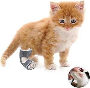 Amazon.com : tinkare 1 Pair Cat Hock Socks for Sore Hocks Ankle ...