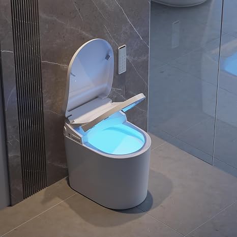 Homary Modern Smart Toilet, One-Piece Elongated Intelligent Bidet ...