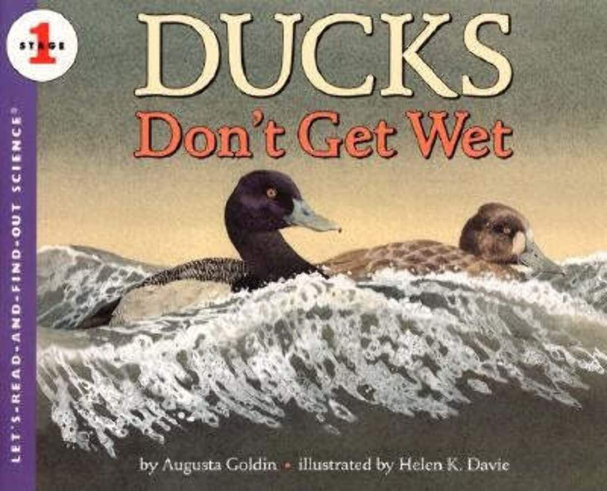 Amazon.com: Ducks Don't Get Wet: Goldin, Augusta, Davie, Helen K.: Books