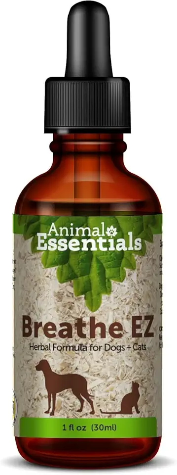 Understanding Stertor Breathing In Cats: Causes And Treatment Options ...