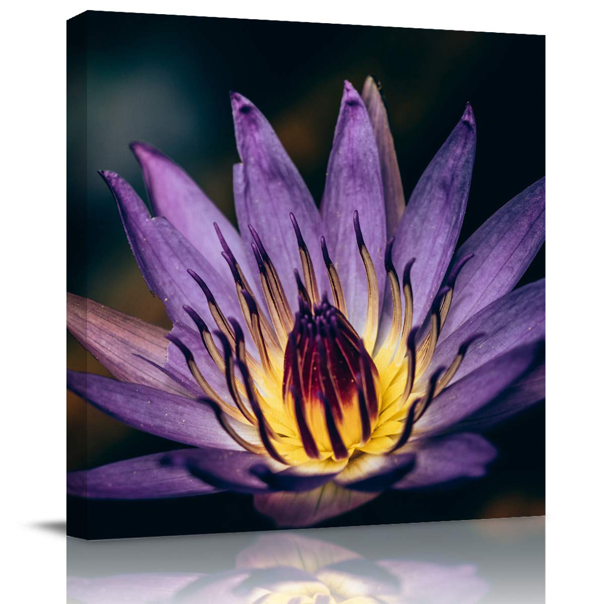 Purple Lotus Flower Painting
