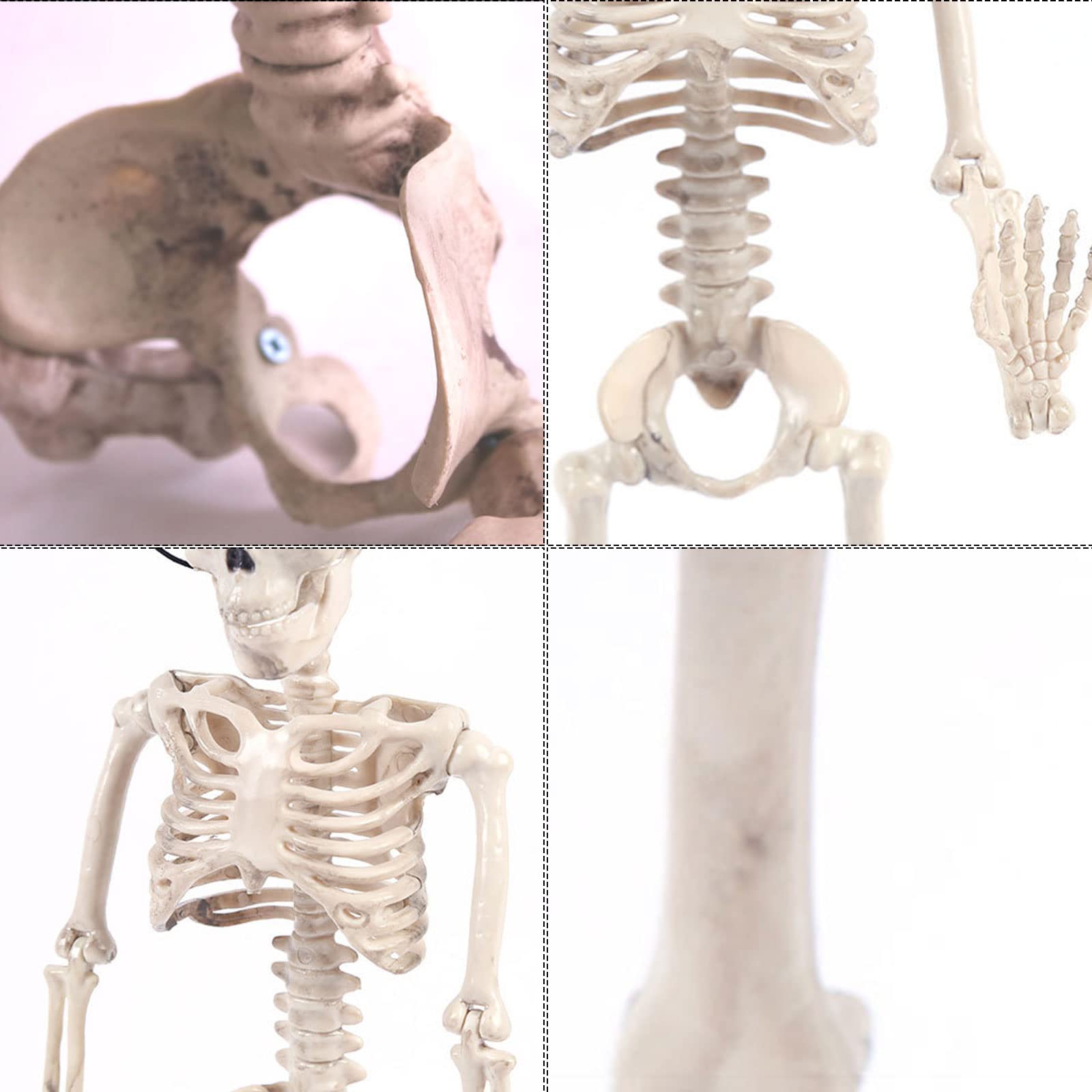 20 Feet Human Skeleton