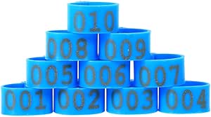 Amazon.com : Yosoo 6Colors 100PCS 16MM 001 to 100 Numbered Plastic ...