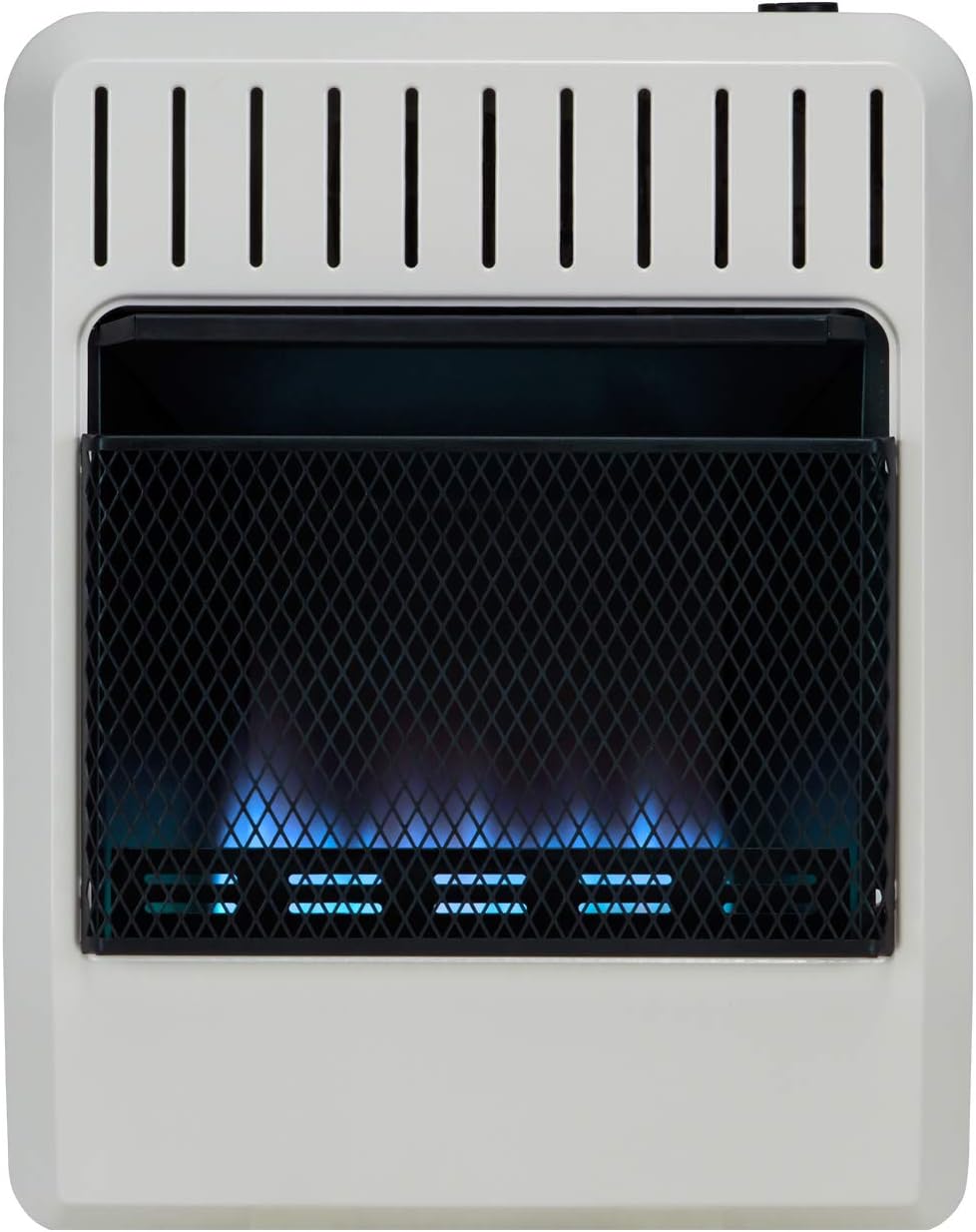 Amazon.com: Avenger FDT20BFA Dual Fuel Ventless Blue Flame Gas Heater ...