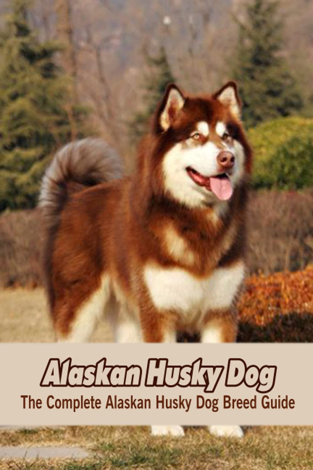 Can A Alaskan Husky Live In Mexico