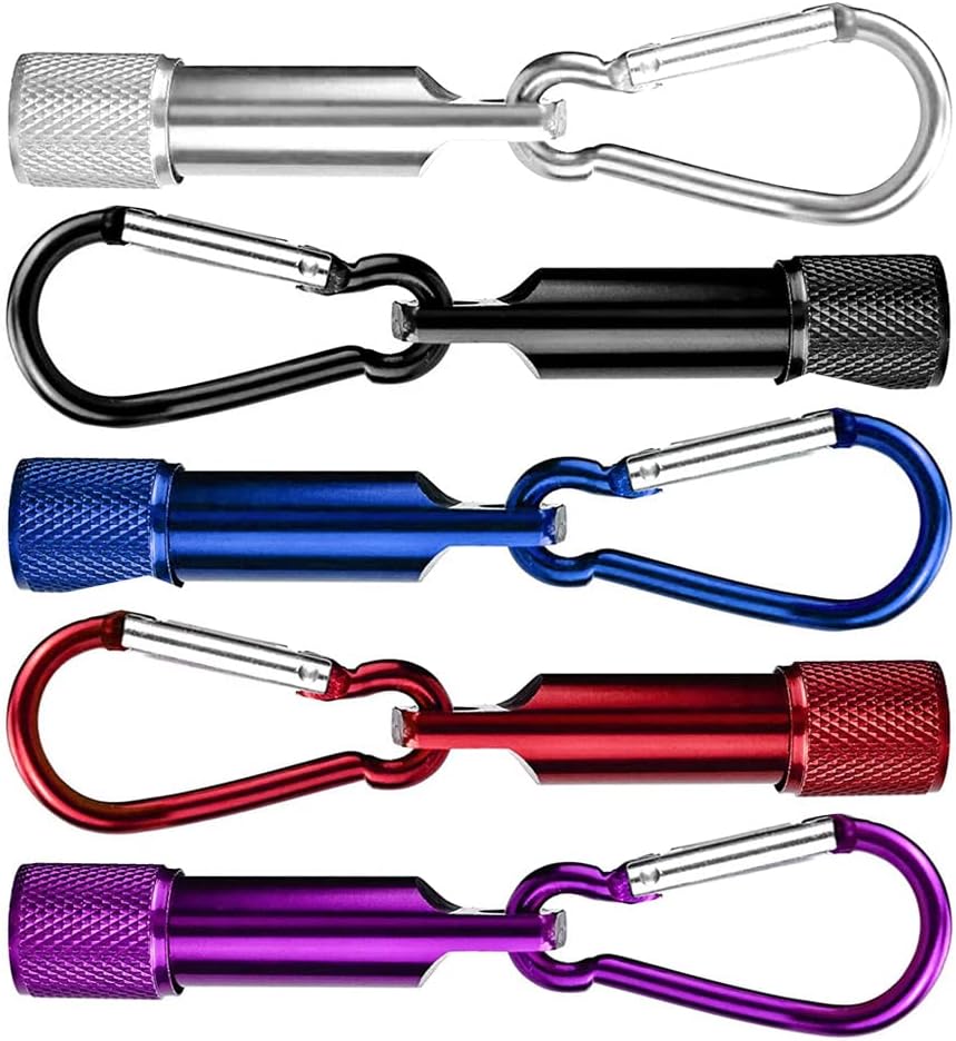 5 Pcs LED Flashlight Mini Keyring Torch Colorful LED Torch Portable ...