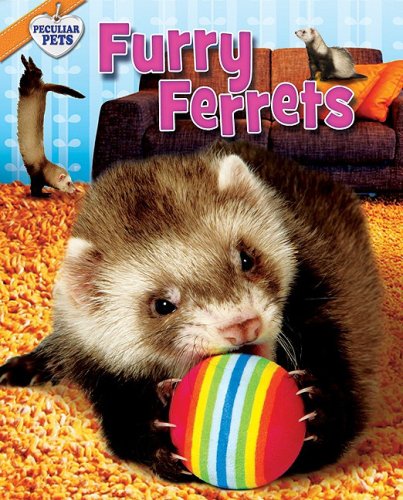 Furry Ferrets (Peculiar Pets): Lunis, Natalie: 9781597168601: Amazon ...