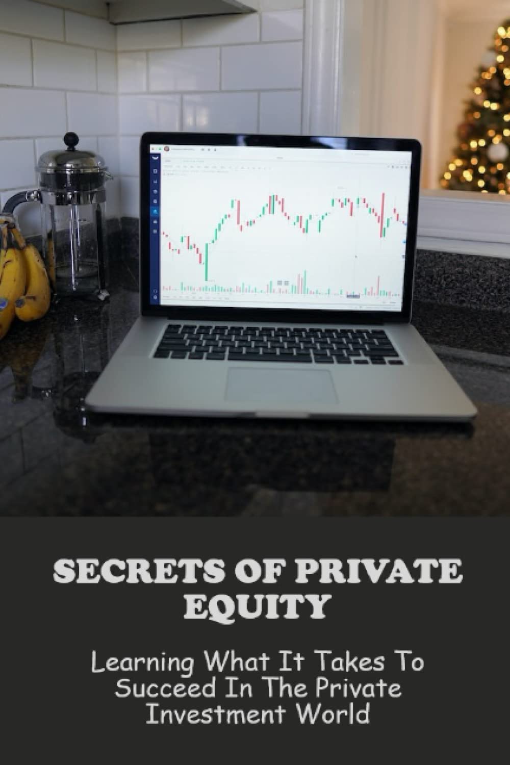 Amazon.com: Secrets Of Private Equity: Learning What It Takes To ...