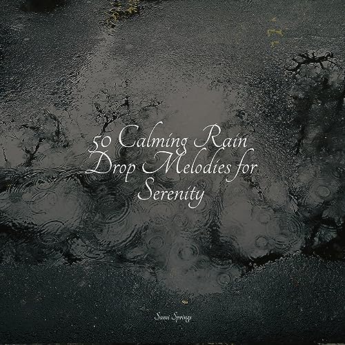 Play 50 Calming Rain Drop Melodies for Serenity by Deep Sleep ...