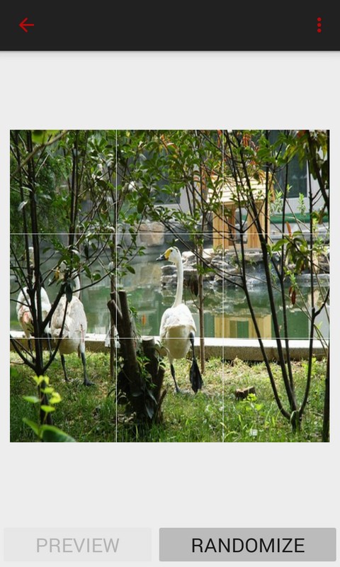 Marrow - App on Amazon Appstore