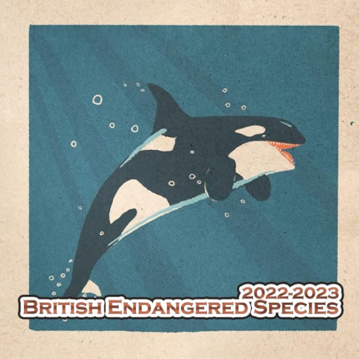 Buy British Endangered Species 2022 Calendar: Wildlife & Animal ...