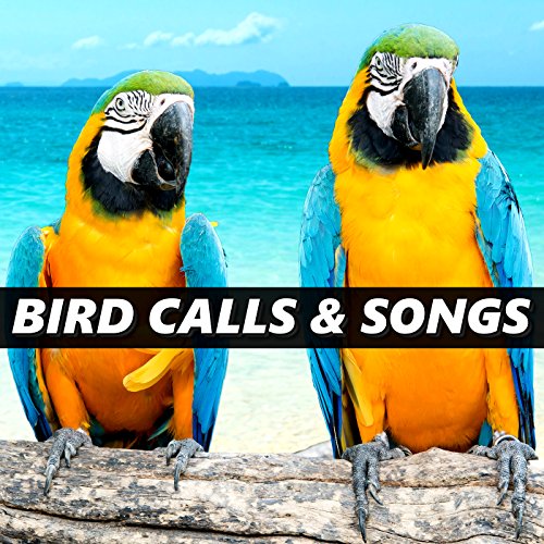 Amazon.com: Bird Calls & Songs : Bird Calls & Songs: Digital Music