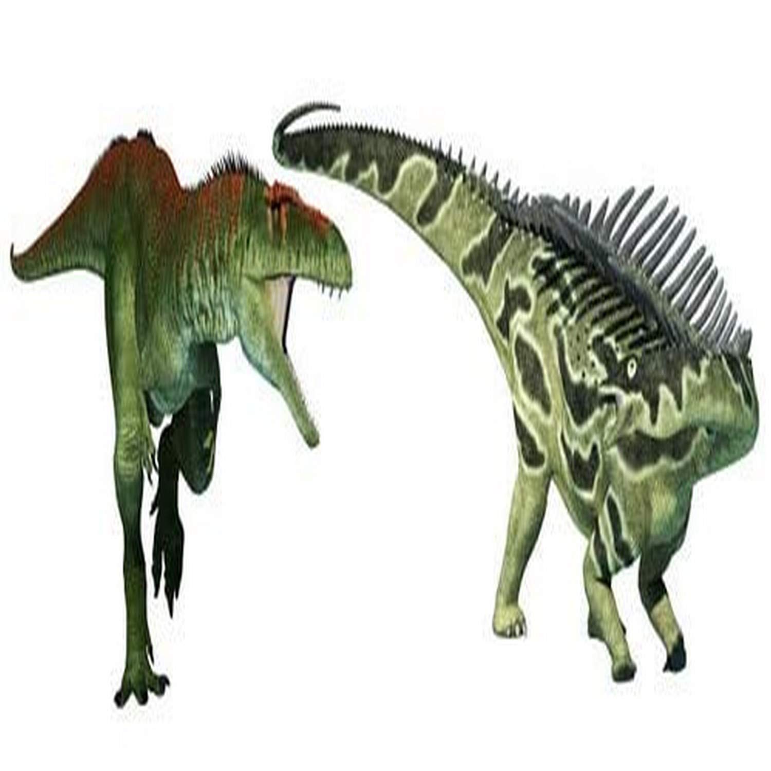 Tyrannotitan Vs Tyrannosaurus