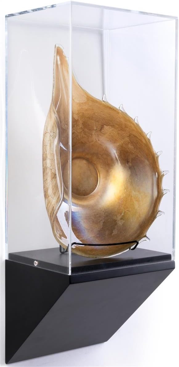 Amazon.com: Displays2go, Wedge Style Wall Display Case, Acrylic, MDF ...