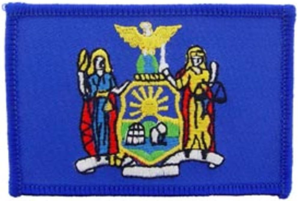 Amazon.com: New York State Flag Patch 2 1/2" x 3 1/2"