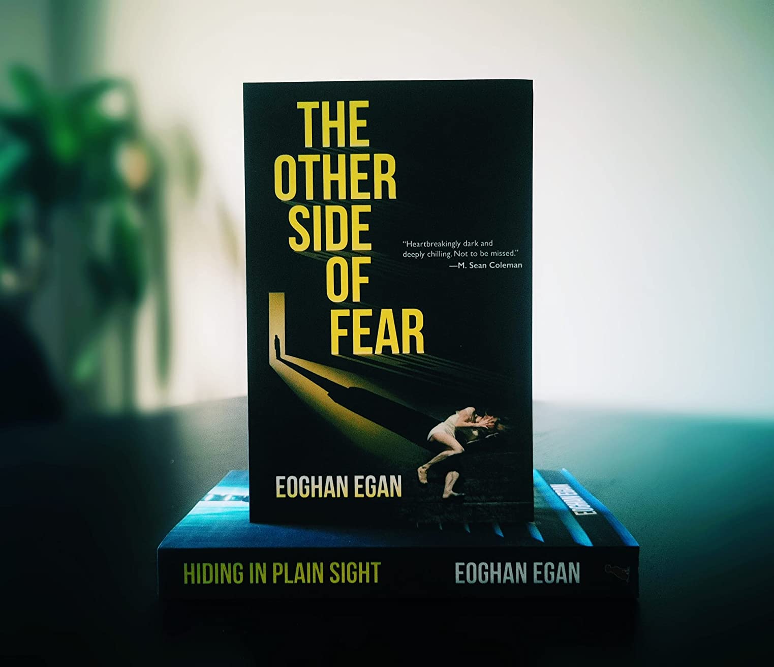 The Other Side of Fear: Ganestown Crime Series, Book 2 (Audio Download ...