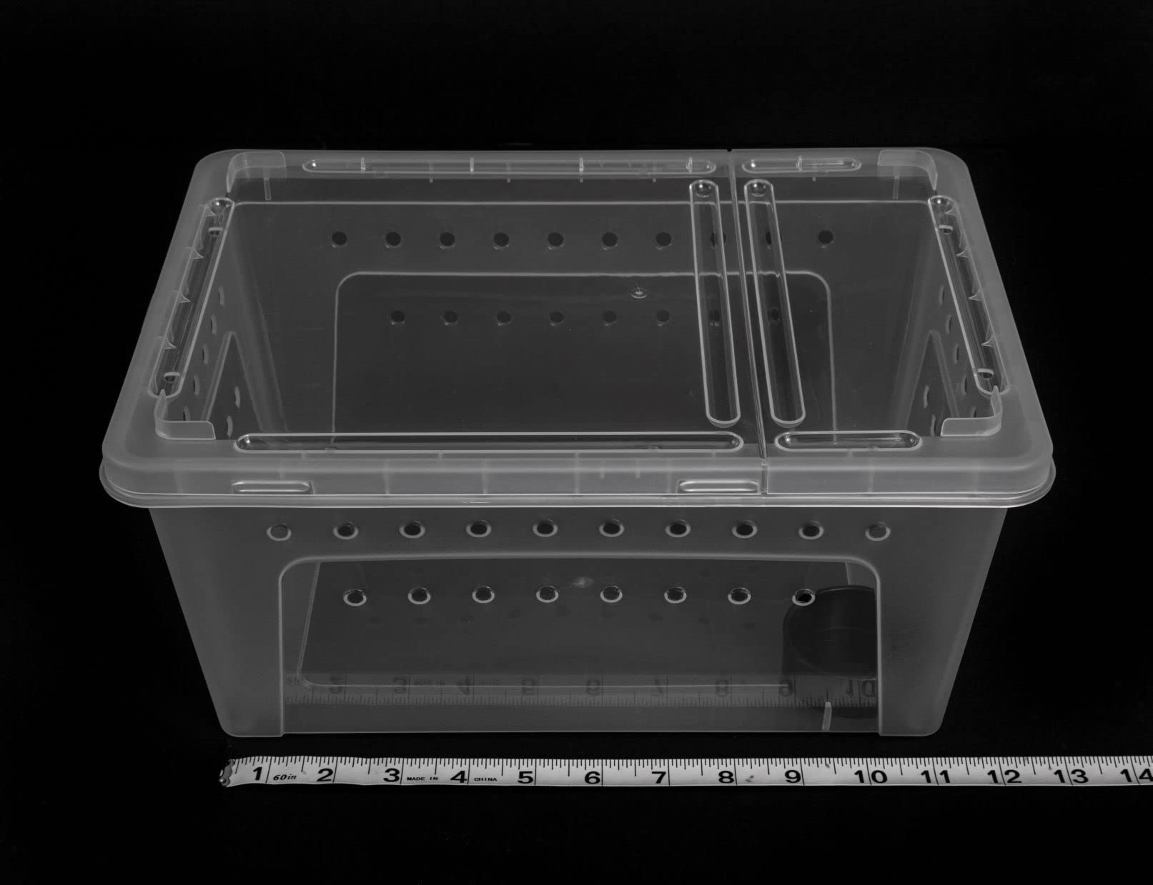 Amazon.com : Large Clear Stackable Invertebrate & Reptile Keeper Box ...