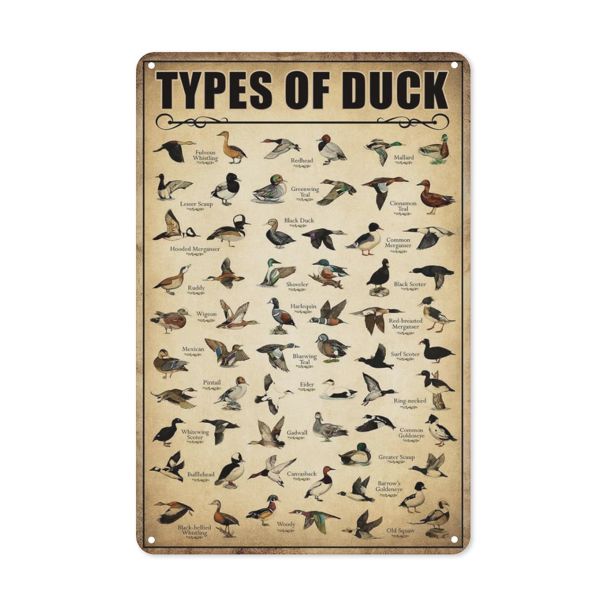 Duck Hunting Signs