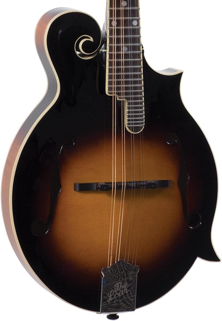 Amazon.com: Gold Tone, 6-String Mandolin, Sunburst (F-6) : Musical ...