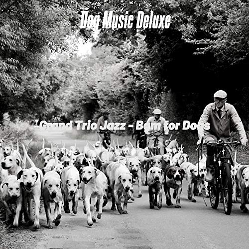 Amazon Music Unlimited - Dog Music Deluxe 『Grand Trio Jazz - Bgm for Dogs』