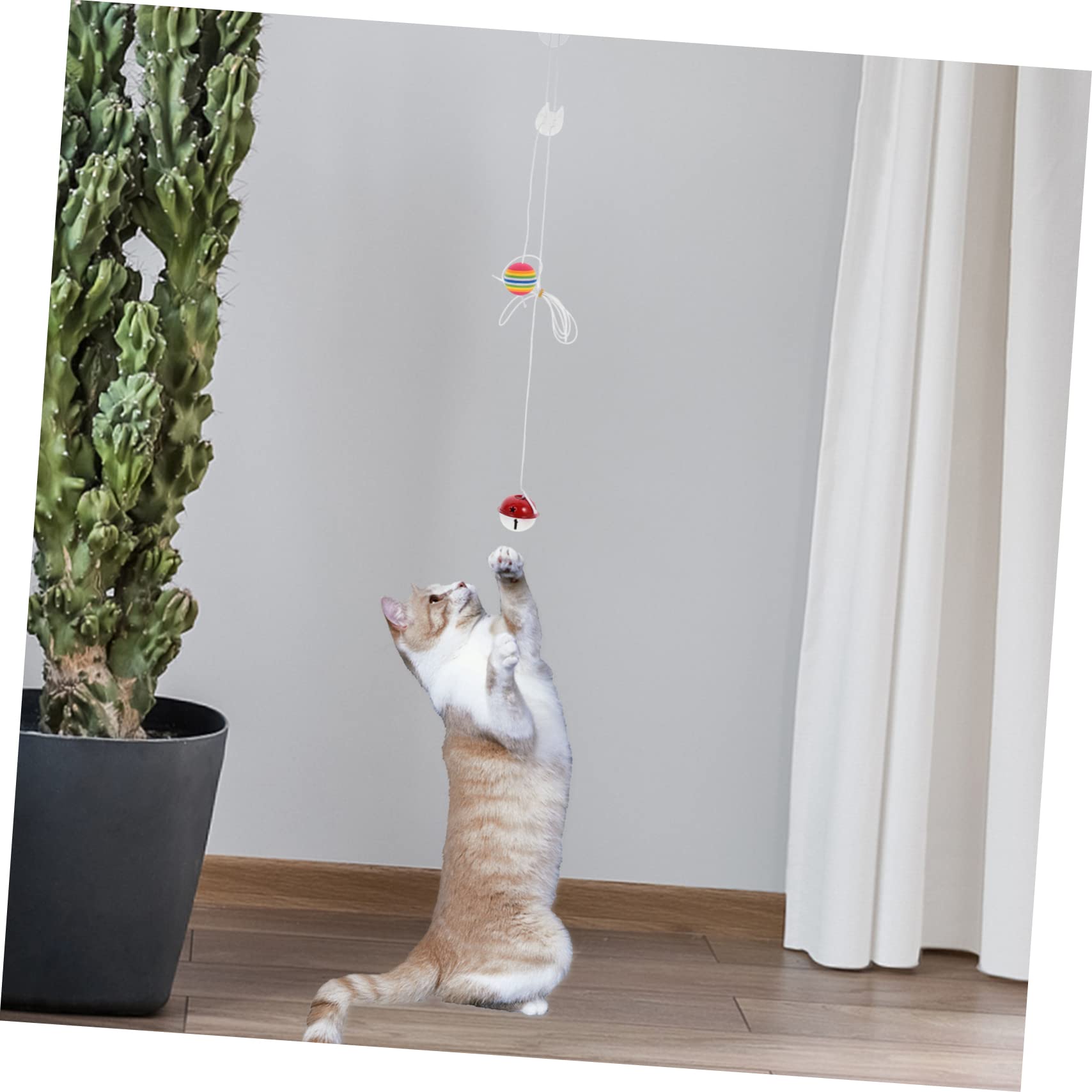 Funny Cats Chasing New Funny Cat Toys Interactive Teaser Training Toy