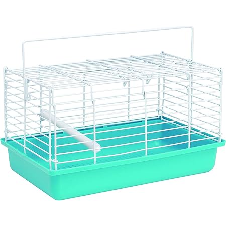 Amazon.com: Kaytee Take Me With Small Animal Pet Travel Carrier, Medium ...