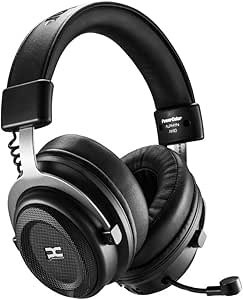 Amazon.com: PowerColor ALPHYN AH10 Wireless Gaming Headset : Electronics
