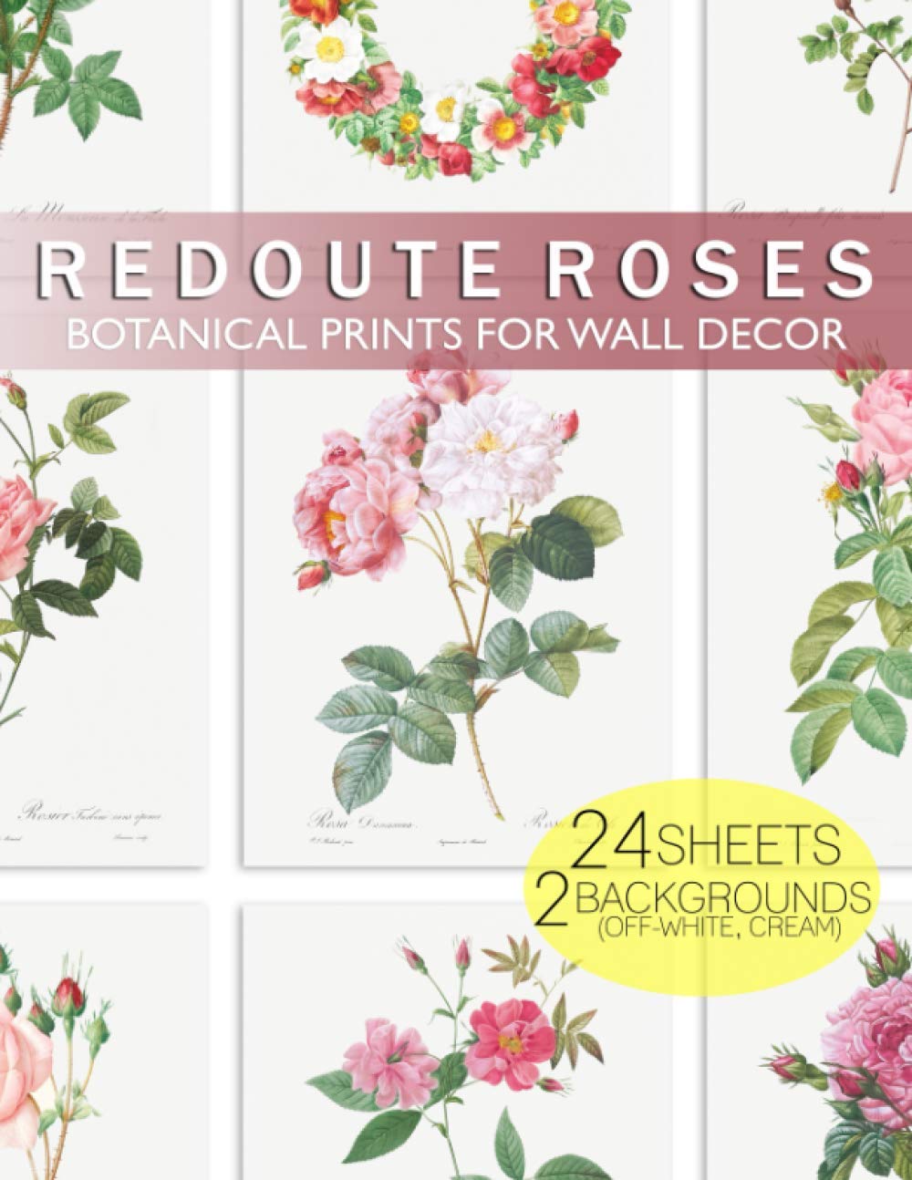Amazon.com: Redoute Roses Botanical Prints for Wall Decor: 24 cut-out ...