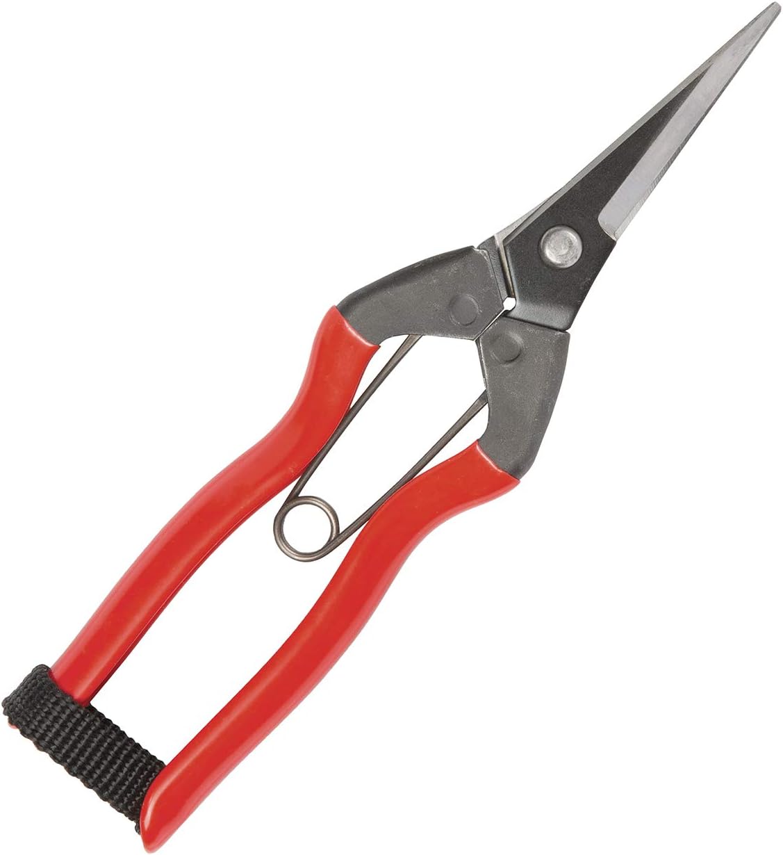 Niwaki Garden Snips : Amazon.co.uk: Garden