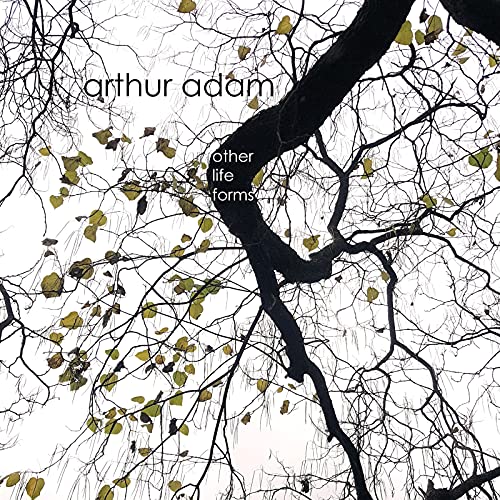 Other life forms de Arthur Adam en Amazon Music Unlimited