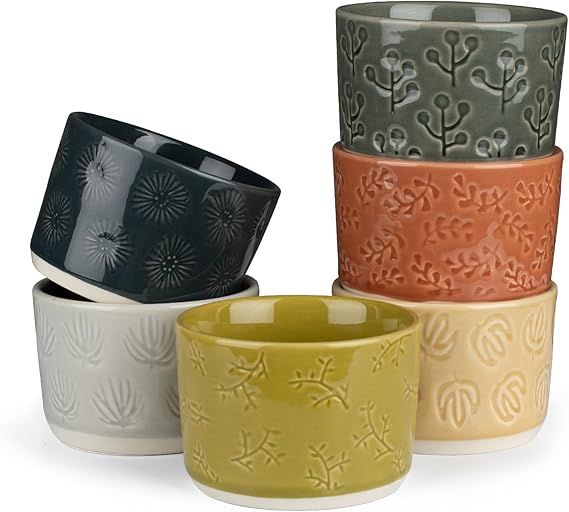 Amazon.com: PARMEDU Ceramic Ramekin Set of 6: 8oz/230ml Small Porcelain ...
