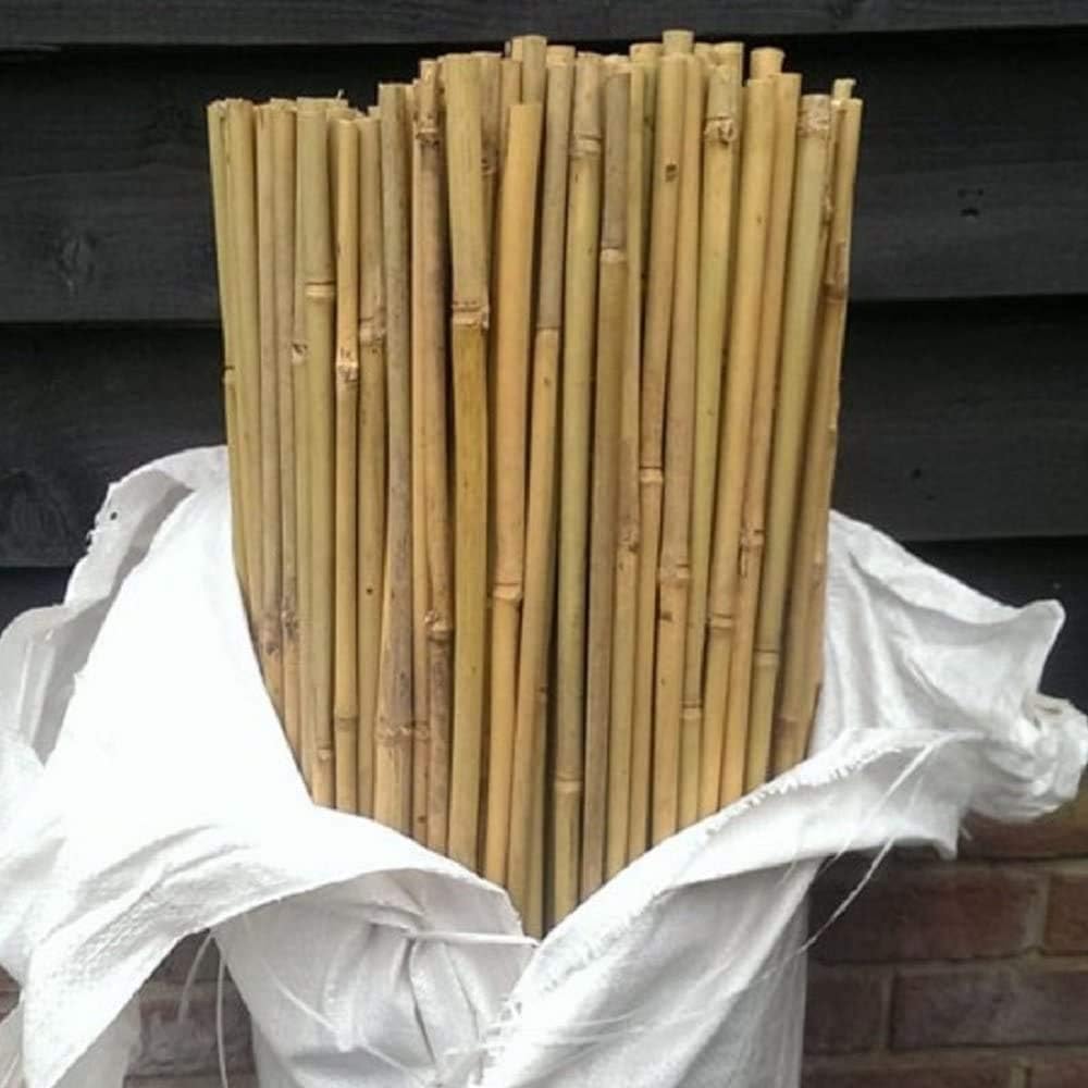 Strong Heavy Duty Professional Garden Bamboo Plant Support Natural ...