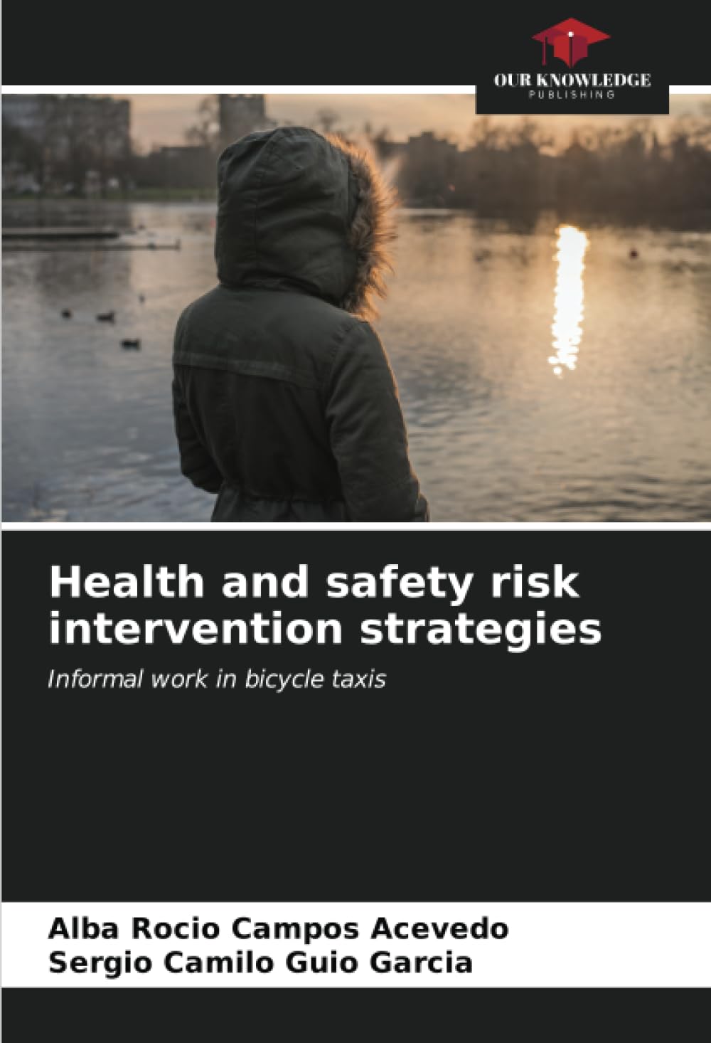 Health and safety risk intervention strategies: Informal work in ...