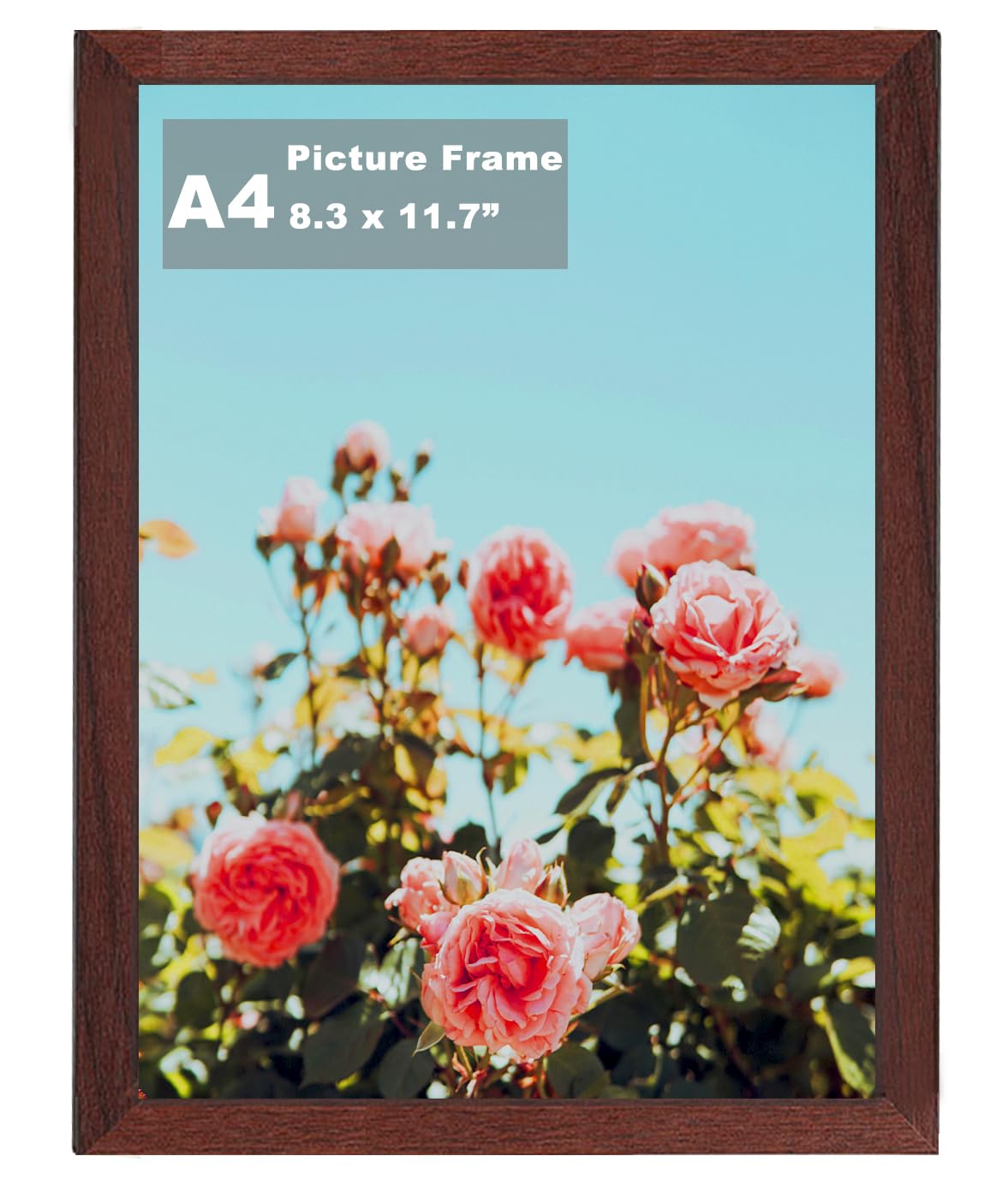 Picture Frame, Versatile Black Picture Frame, Display, Landscape or ...
