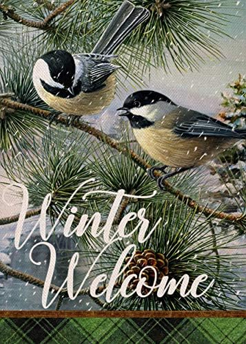 Amazon.com : Hzppyz Hello Winter Chickadee Birds Garden Flag Double ...