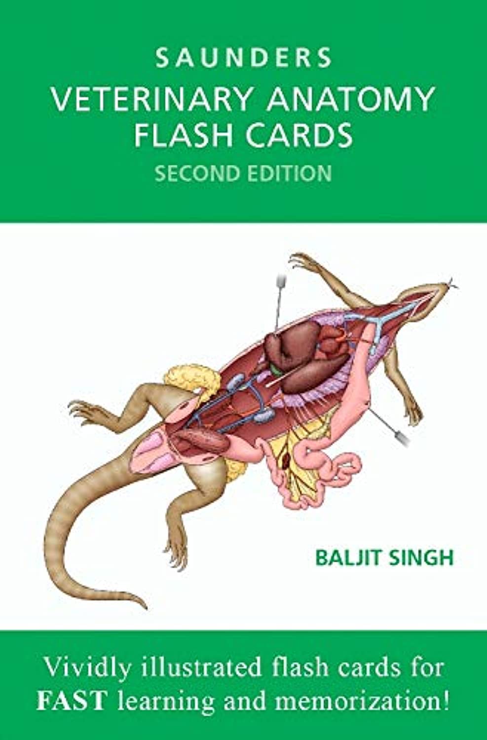 Veterinary Anatomy Flash Cards: Singh BVSc MVSc PhD, Baljit ...
