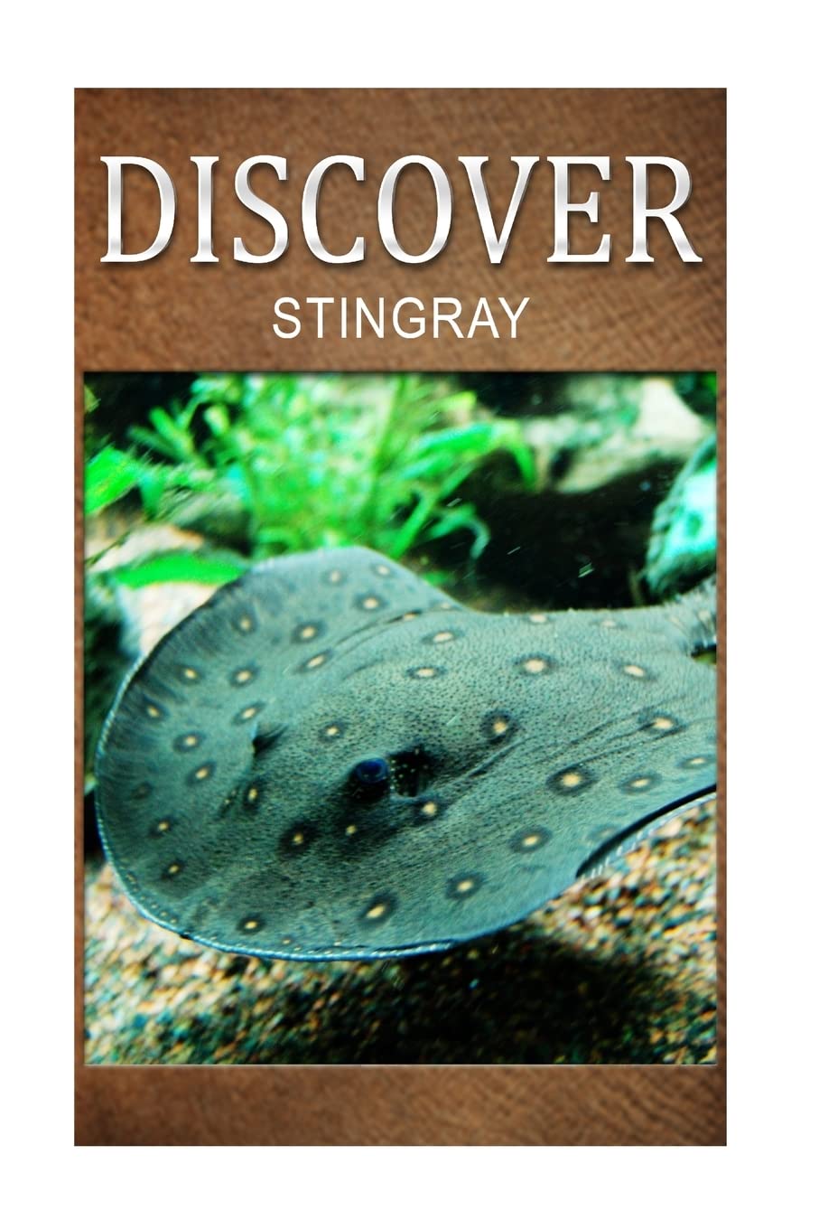 Amazon.com: Stingray - Discover: Early reader's wildlife photography ...