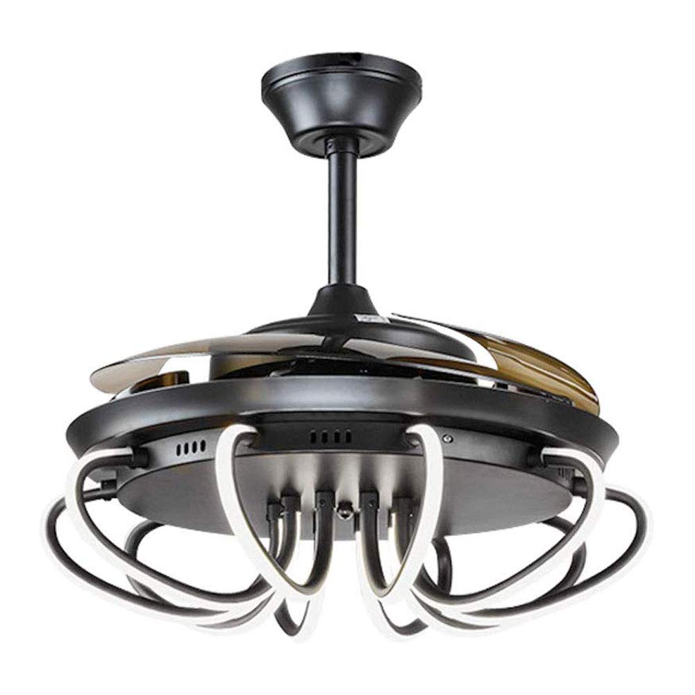 Buy WUPYI Creative Design Black Ceiling Fan with Light,Postmodern LED ...