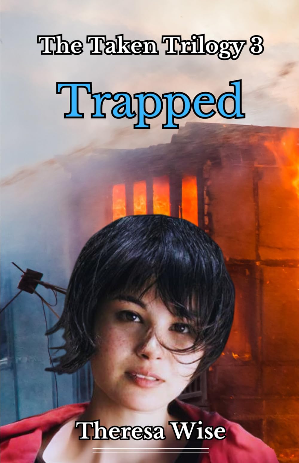 Trapped: The Taken Trilogy 3: Wise, Theresa: 9798842914043: Amazon.com ...