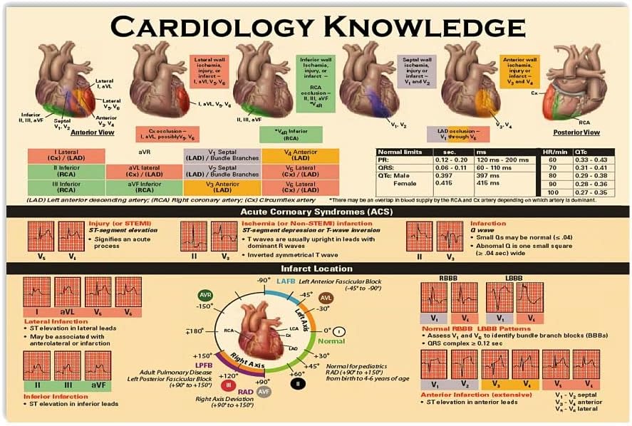 Amazon.com : Cardiology Knowledge Metal Tin Signs Poster Cardiology ...