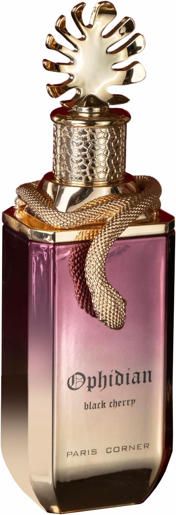 Amazon.com : Paris Corner PEAR POTION EDP 3.4 Fl Oz Fragrance Unisex ...