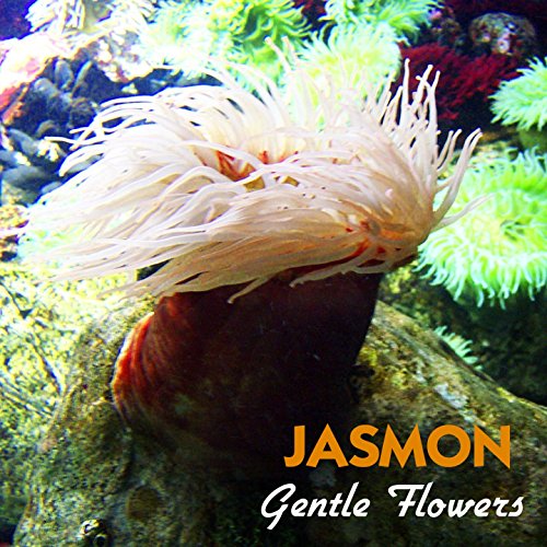 Amazon Music - JasmonのGentle Flowers - Amazon.co.jp