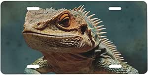 Amazon.com: Lizards License Plate Cover Decorative License Plates for ...