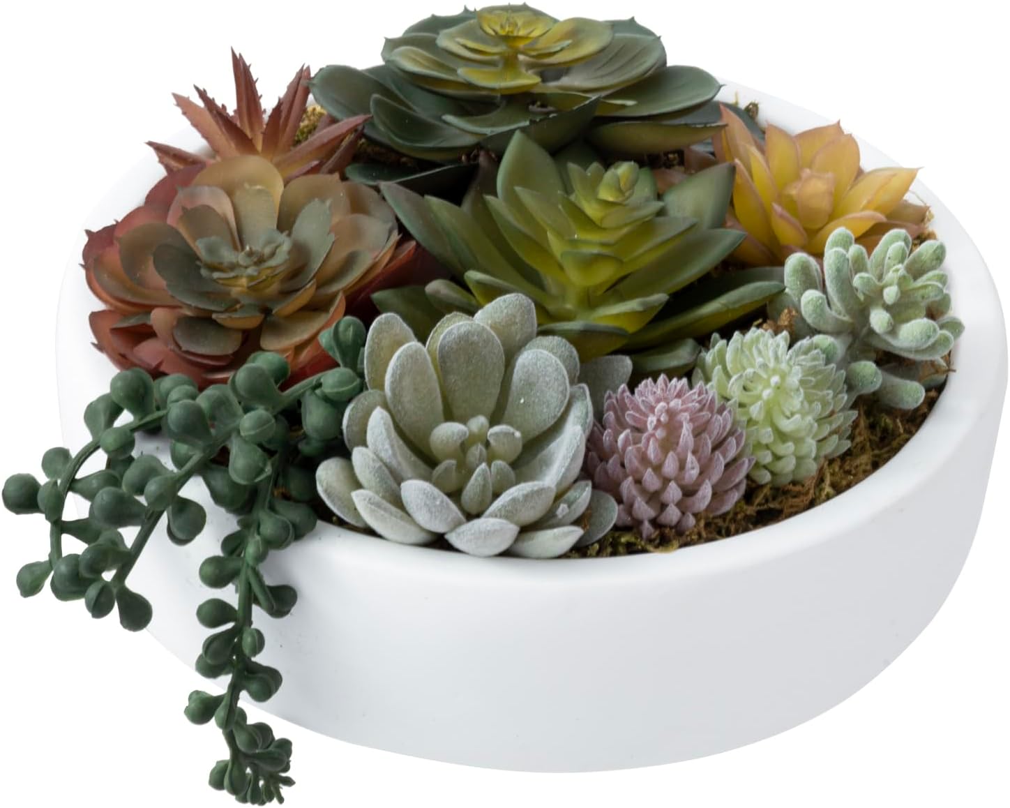 Amazon.com: MyGift 8 Inch Round Modern Artificial Succulent Arrangement ...