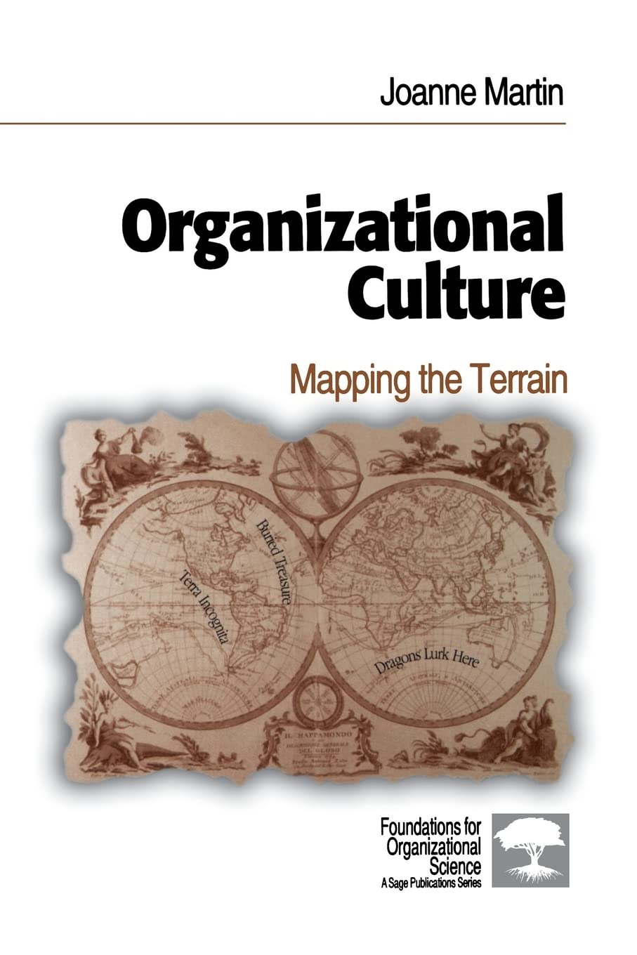 Amazon | Organizational Culture: Mapping the Terrain | Martin, Joanne ...