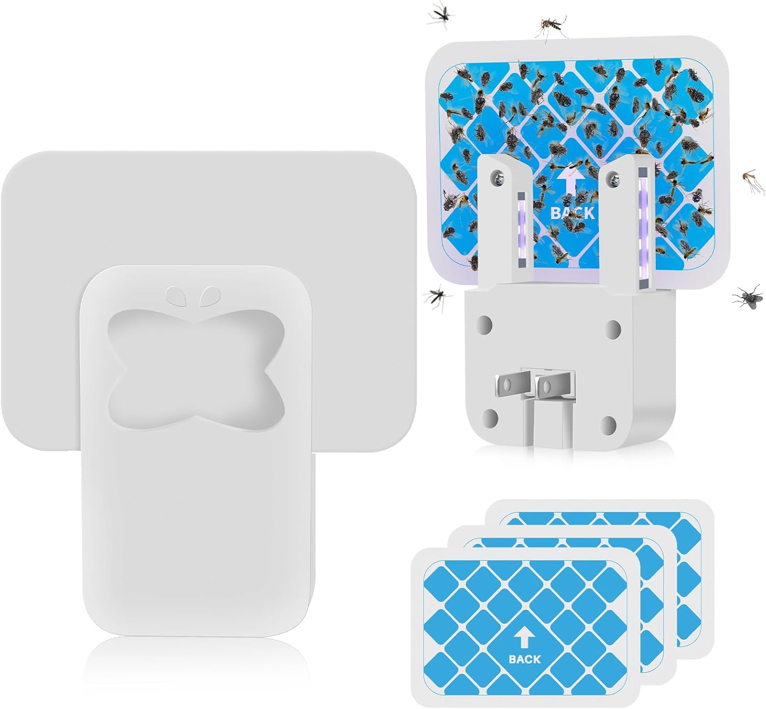 Amazon.com : PIMAG Fruit Fly Traps for Indoors, Flying Insert Trap and ...